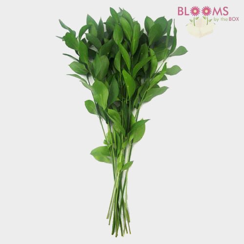 DIY Thanksgiving Flower Pack - Wholesale - Blooms By The Box