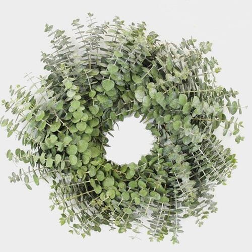 Specialty Greens Wreath 16 Inch - Wholesale - Blooms By The Box
