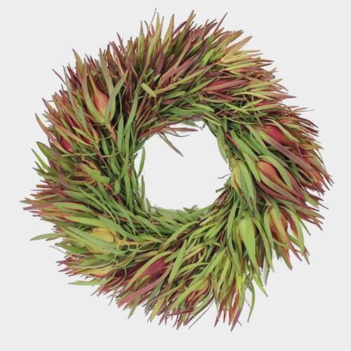 Specialty Greens Wreath 16 Inch - Wholesale - Blooms By The Box