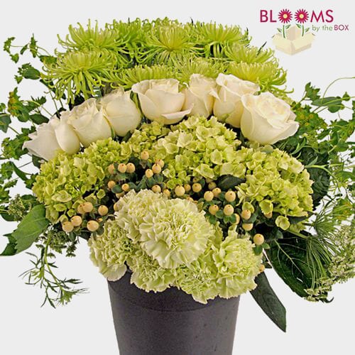 Pantone Greenery Flower Pack - Wholesale - Blooms By The Box