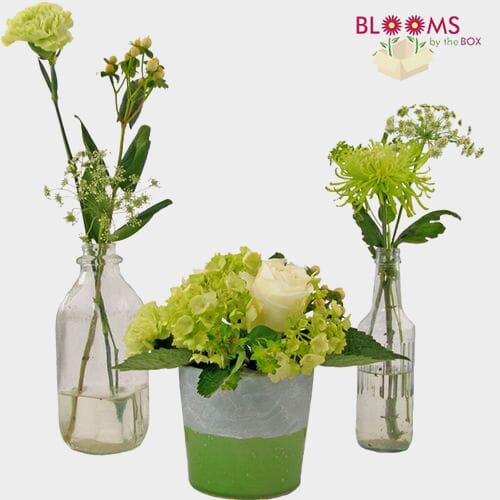 Pantone Greenery Flower Pack - Wholesale - Blooms By The Box