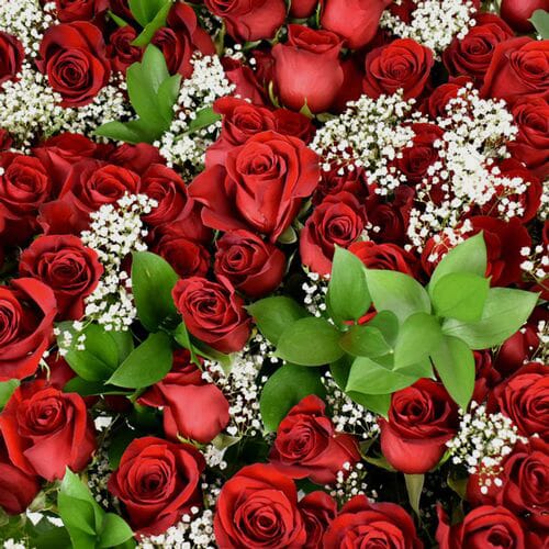 Rose Bouquet 12 Stem - Red Freedom 50 cm - Wholesale - Blooms By The Box