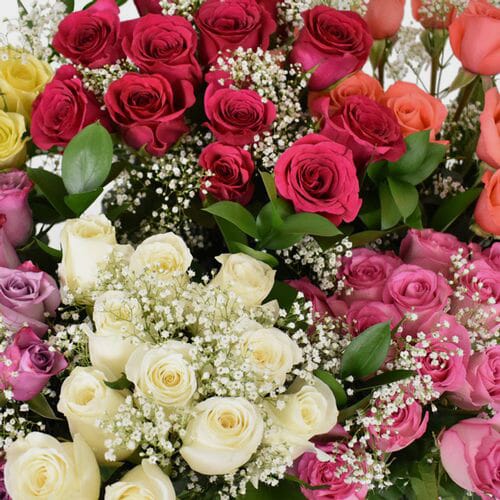 Rose Bouquet 12 Stem - Assorted Colors 50cm - Wholesale - Blooms By The Box