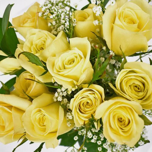 Rose Bouquet 12 Stem - Assorted Colors 50cm - Wholesale - Blooms By The Box