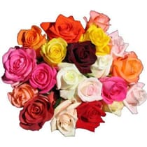 Rose Mix Colors 40cm Bulk - Wholesale - Blooms By The Box