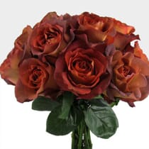 Rose Coffee Break 60 Cm - Wholesale - Blooms By The Box